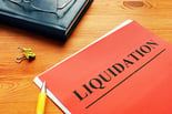 Employee Benefit Plans - Applying the Liquidation Basis of Accounting